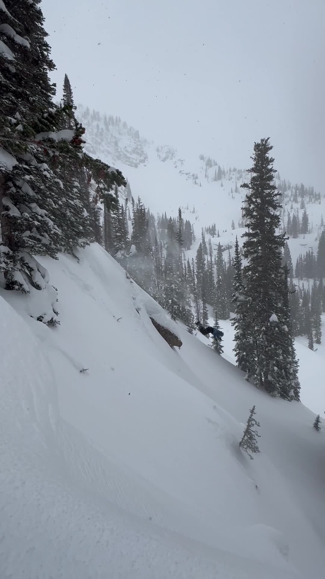 Thrilling snowboard descent through pristine powder