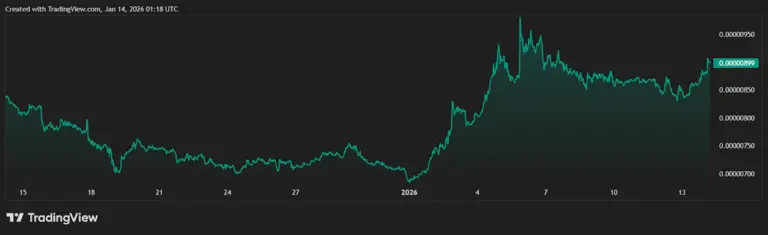 Top 3 cheap cryptos with 500% potential in the next bull cycle