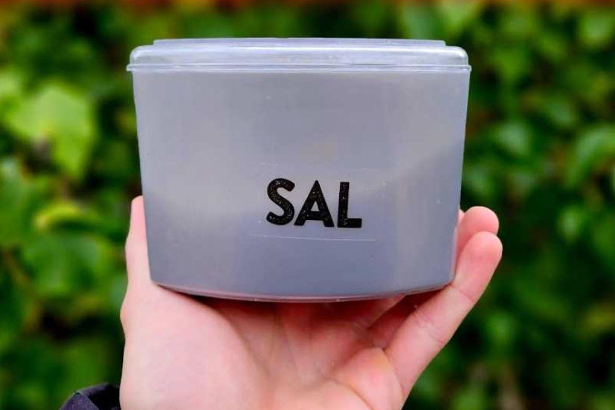 Cómo quitar las malas hierbas del jardín con sal paso a paso