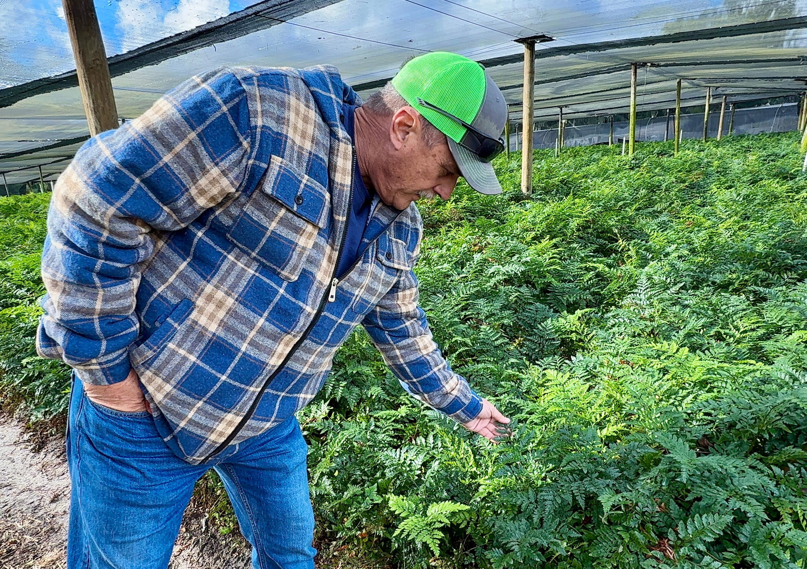 Volusia farmers prepare to battle freezing temperatures to save plants