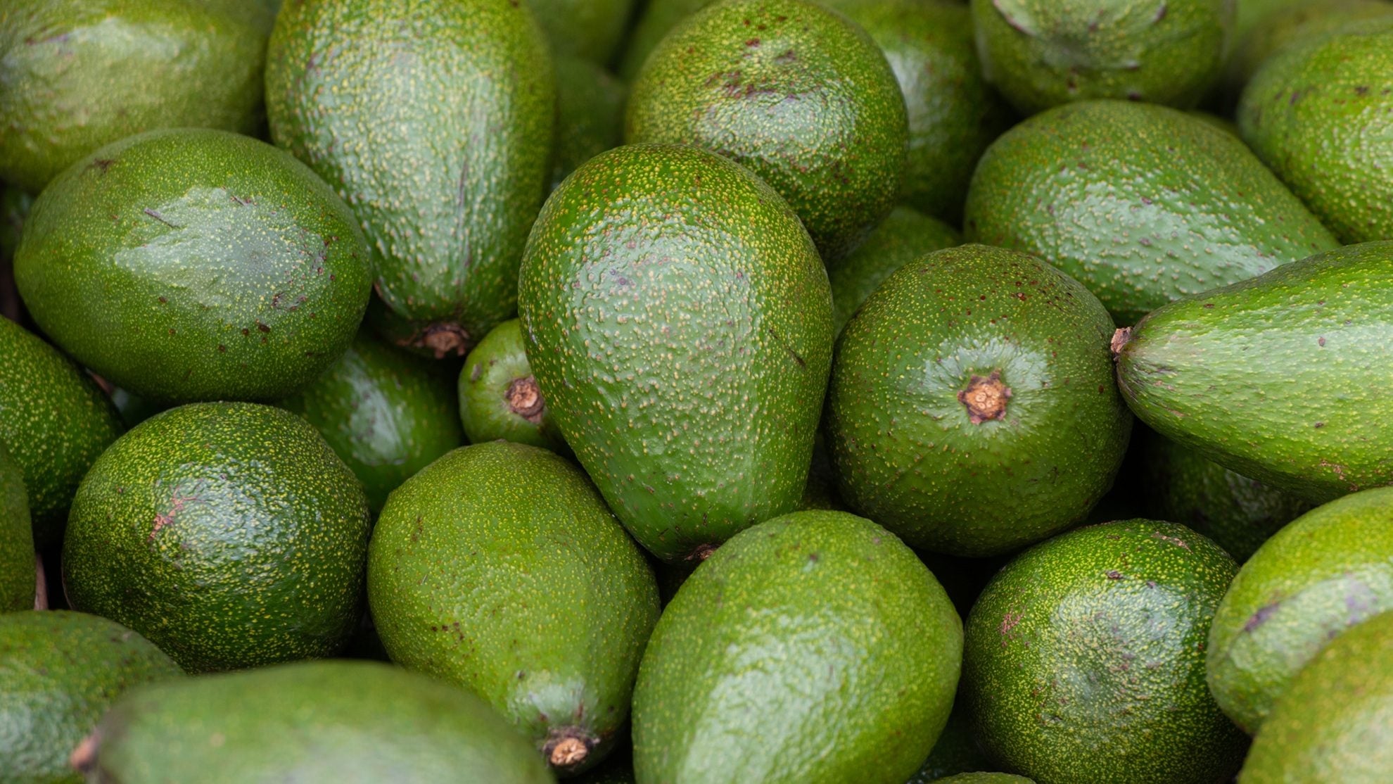 Mission Produce plucks avocado rival Calavo Growers
