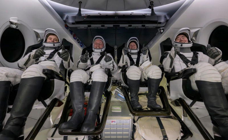 Welcome home, Crew-11!: Astronautas de la NASA regresan a Tierra con éxito