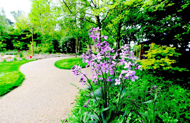 Demelza Hospice Care for Children in Bobbing near Sittingbourne rated ...