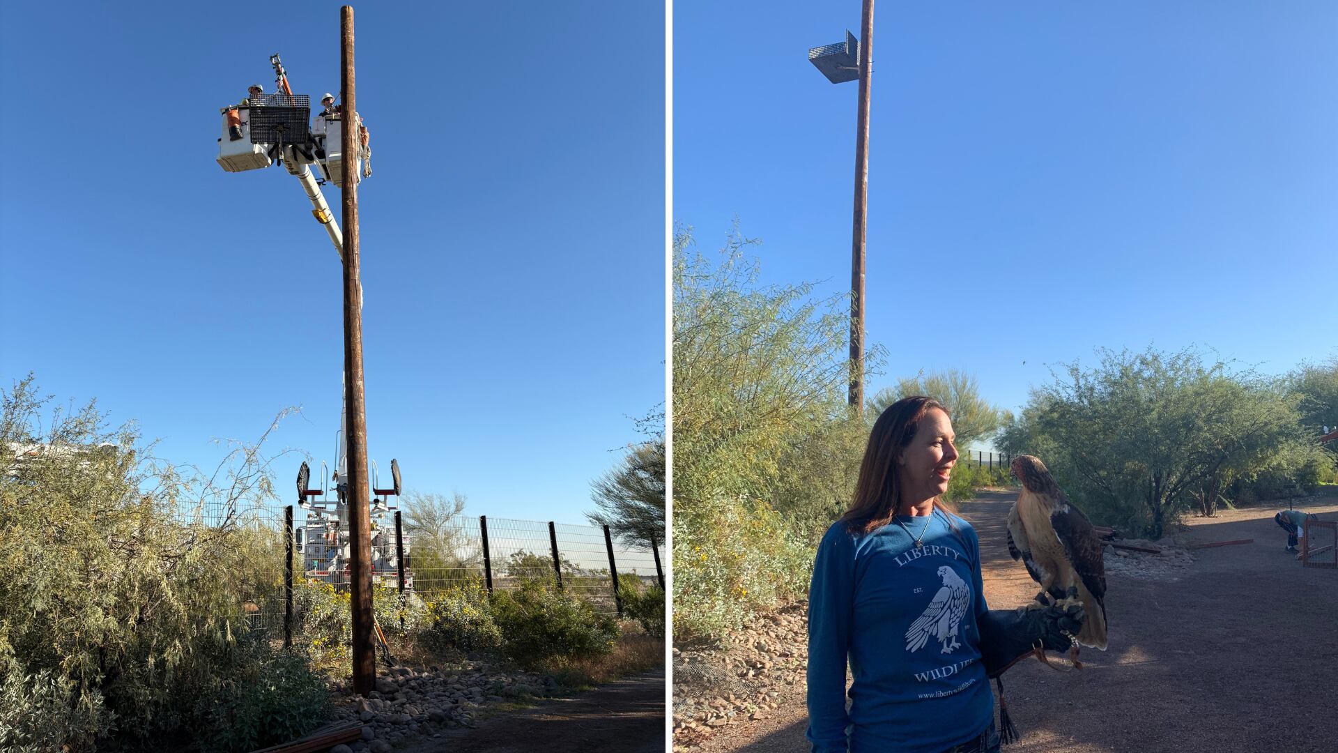 Wildlife conservationists, APS team up for new home for raptors near Tempe
