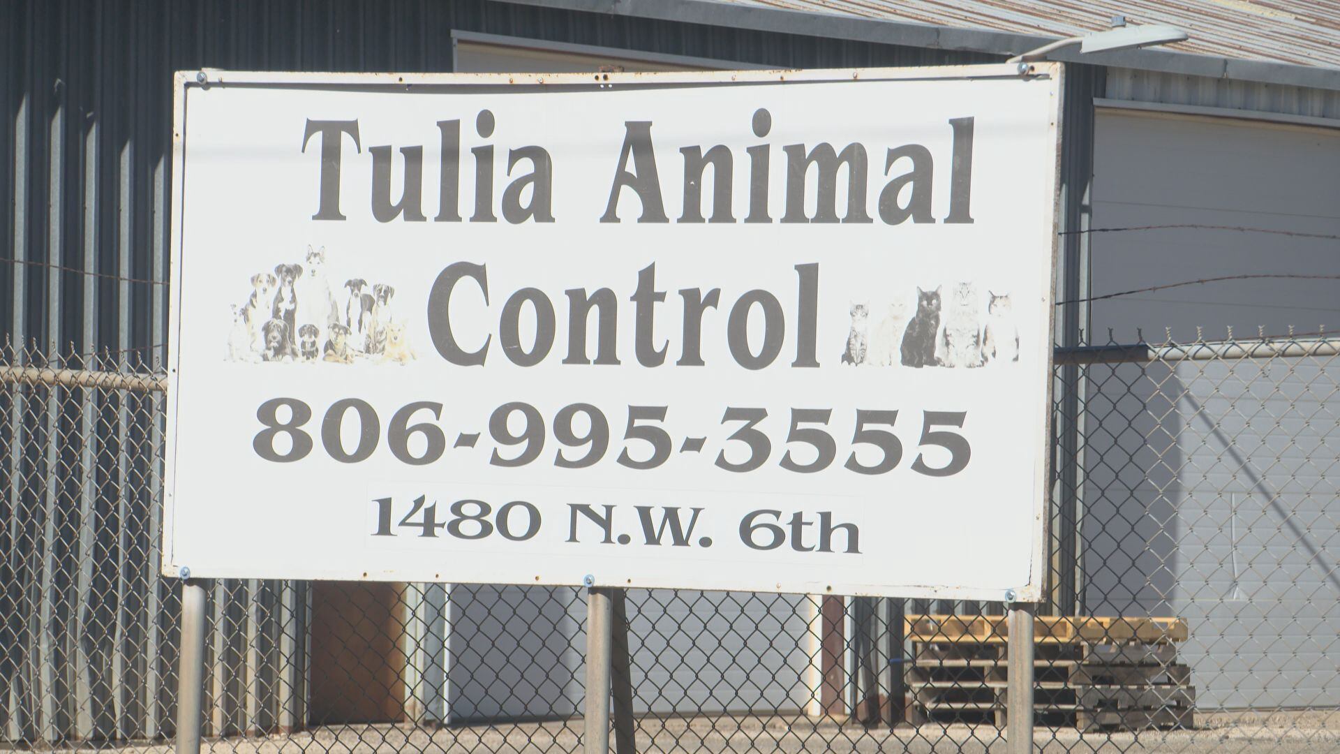 Tulia police attempting to curb animal-at-large problem
