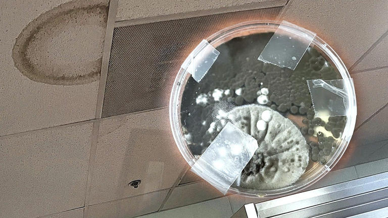 Cleveland healthcare facility fails mold inspection after nurse complaints