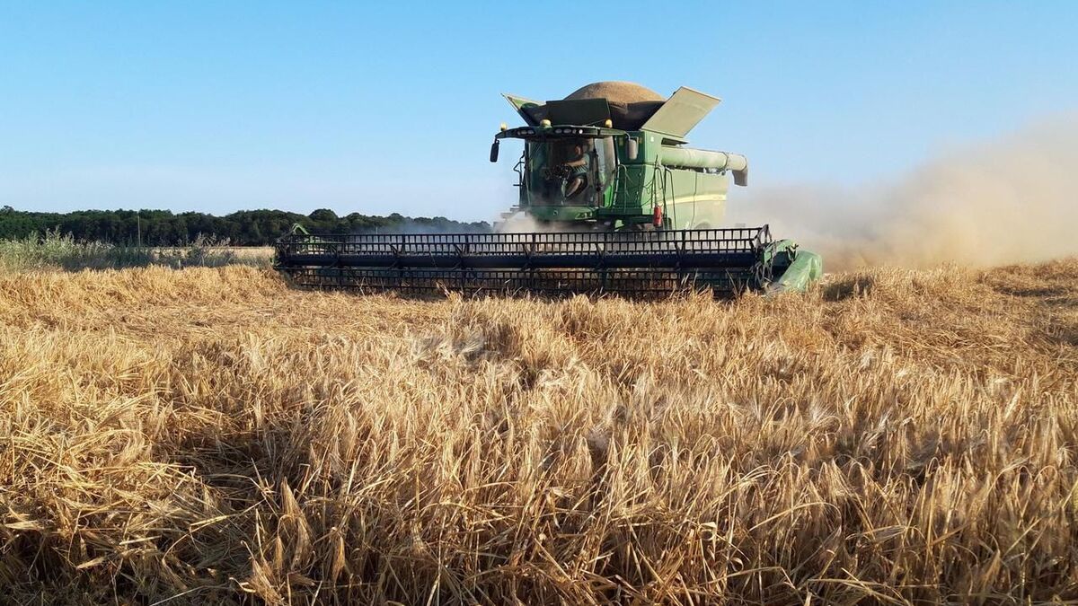 « On arrive au bout » : pourquoi les céréaliers ne sont plus les ...