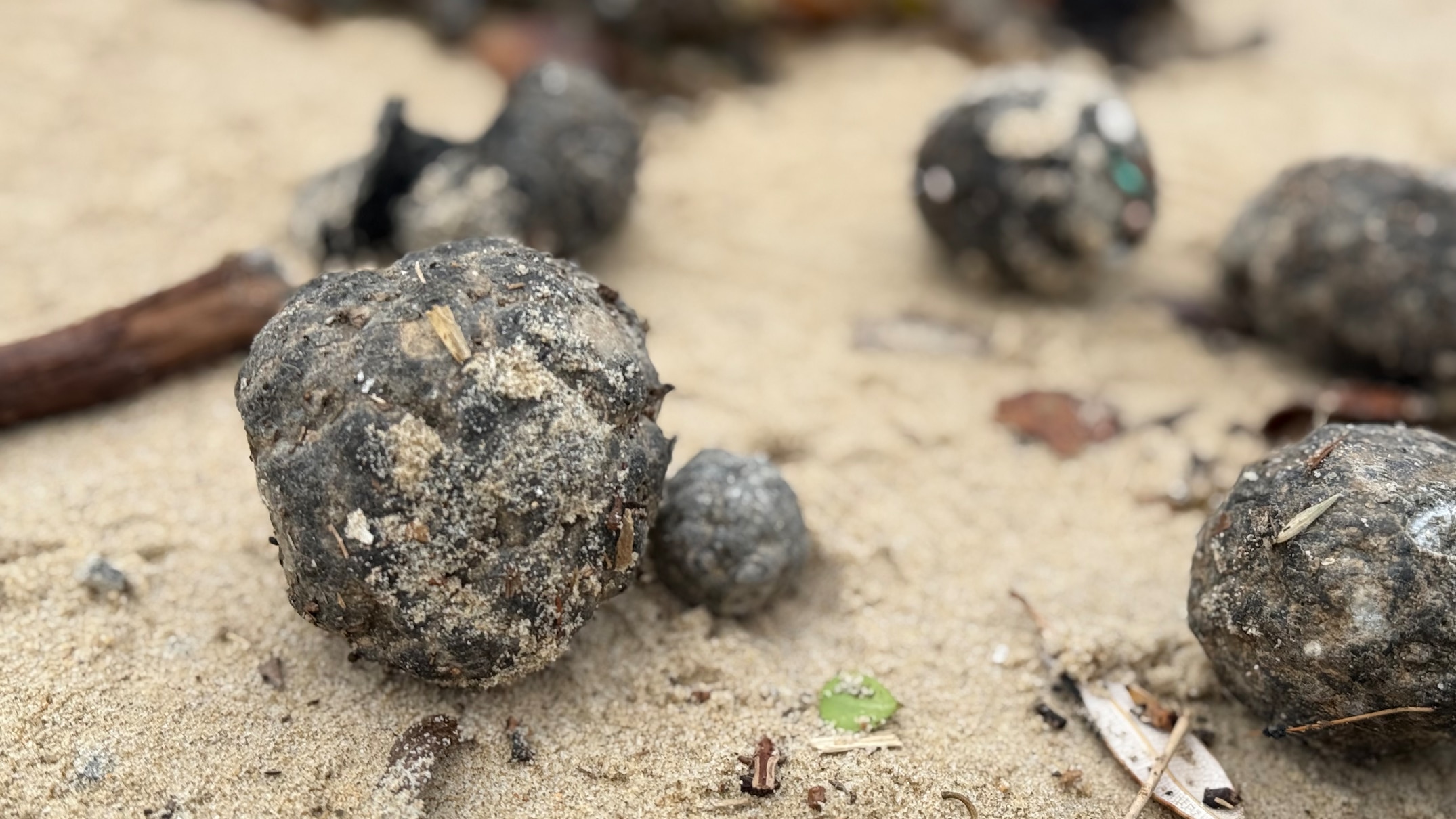 NSW government unveils $3 billion plan to combat debris balls washing ...