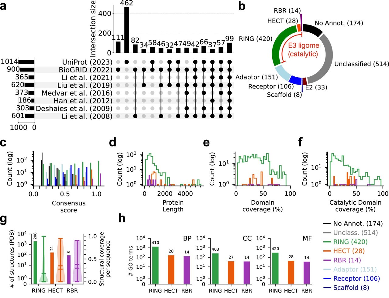 Comprehensive map reveals how E3 ligases organize protein cleanup in ...