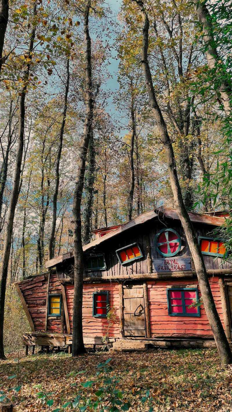 Georgia log cabins that turn rustic design into pure comfort