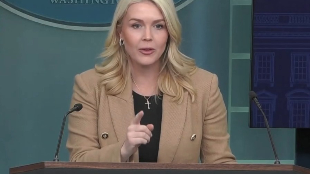 'Left-wing hack': White House official's vicious tirade against