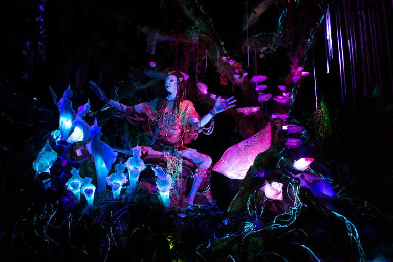 Ideal times for a Disney World trip: Balancing weather and crowds