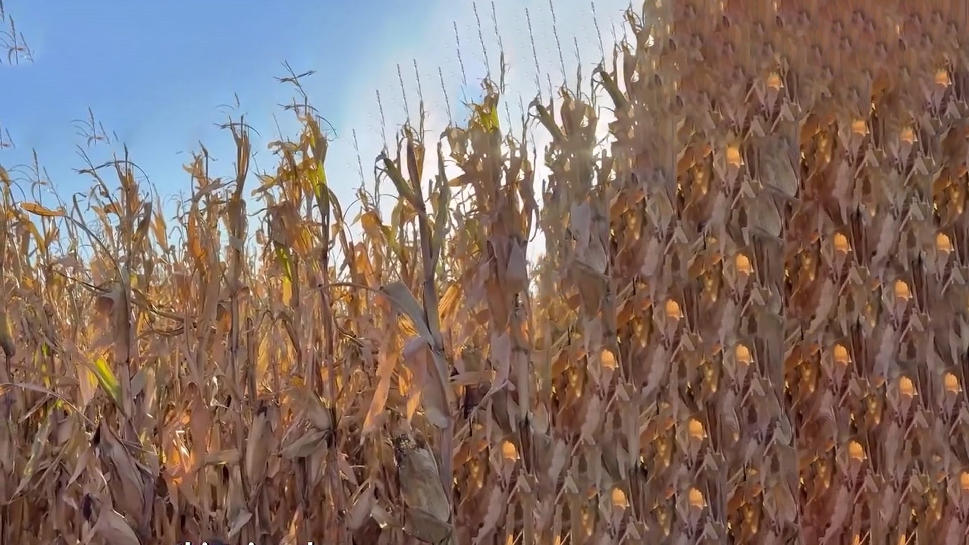 The price of modern farming equipment