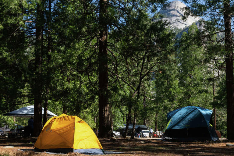 Yosemite summer camping reservations just dropped: Here's how to snag one