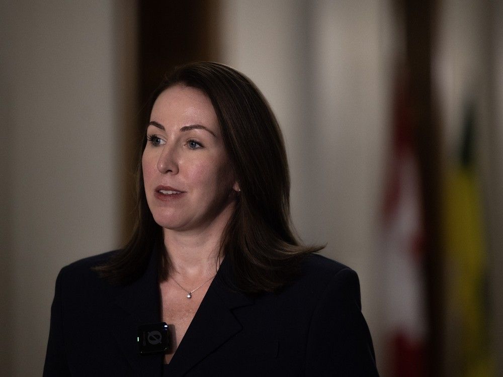 Business owners, farmers present concerns over SaskPower's proposed ...