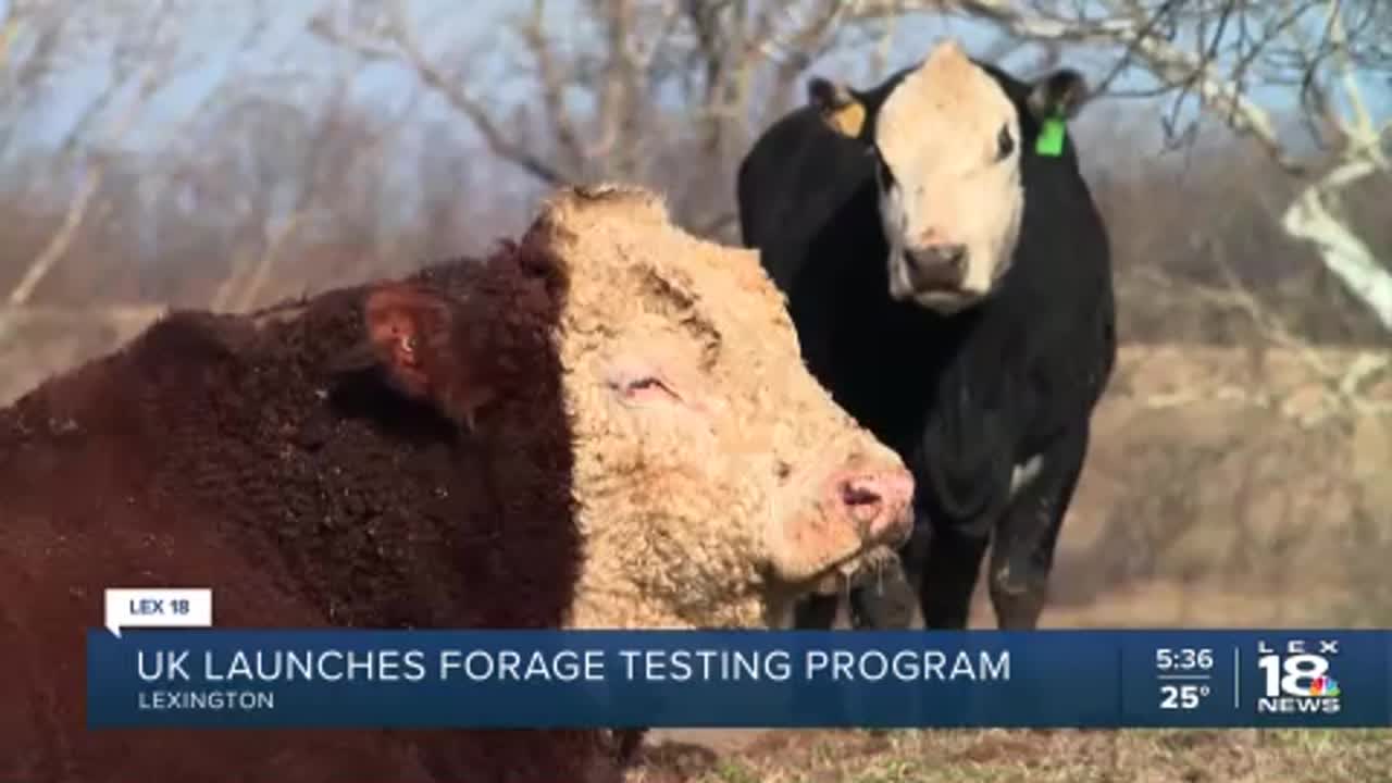 University of Kentucky launches $22 forage testing program for farmers