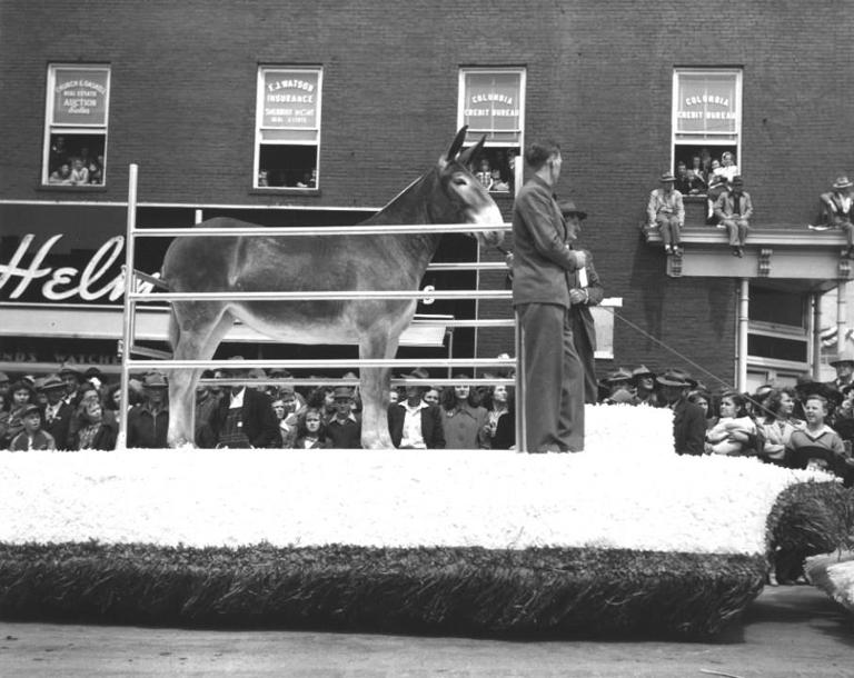 Celebrating the history of Columbia’s Mule Day