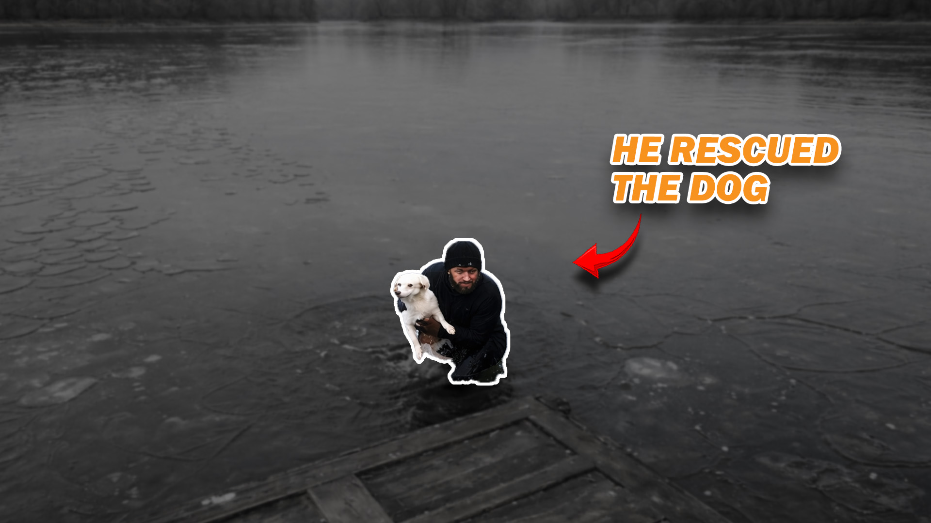 Rescuing a dog from a frozen lake