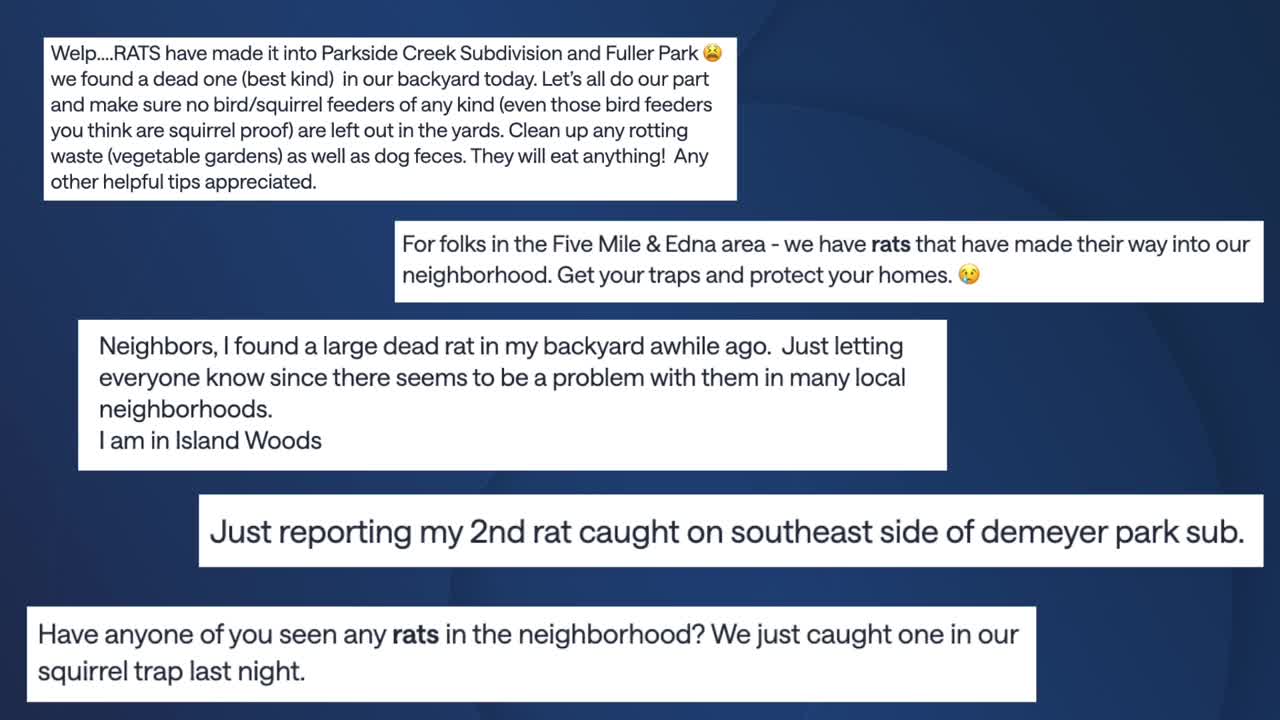 Rats spread across Treasure Valley neighborhoods, prompting health ...