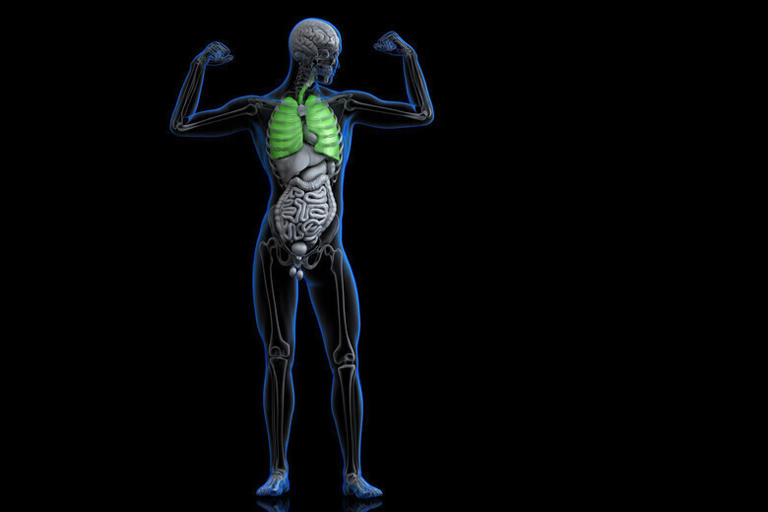 기존 항암제에 저항성 있는 폐암, 이 항암제 조합으로 치료할 수 있어