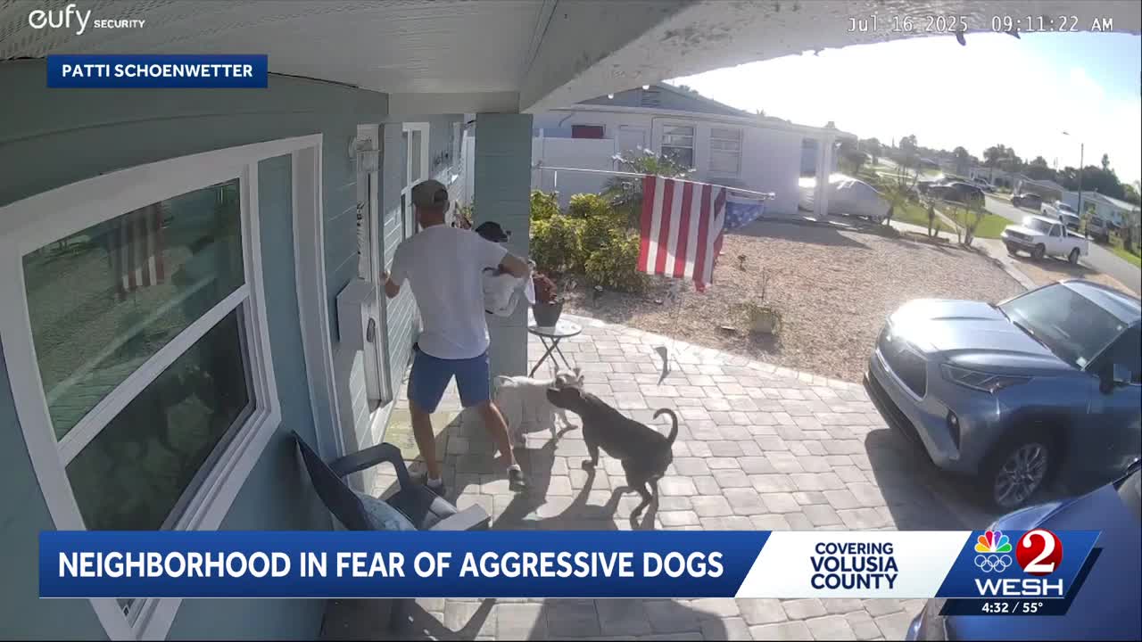Fear in Volusia: Neighbors say loose, aggressive dogs keep them on edge