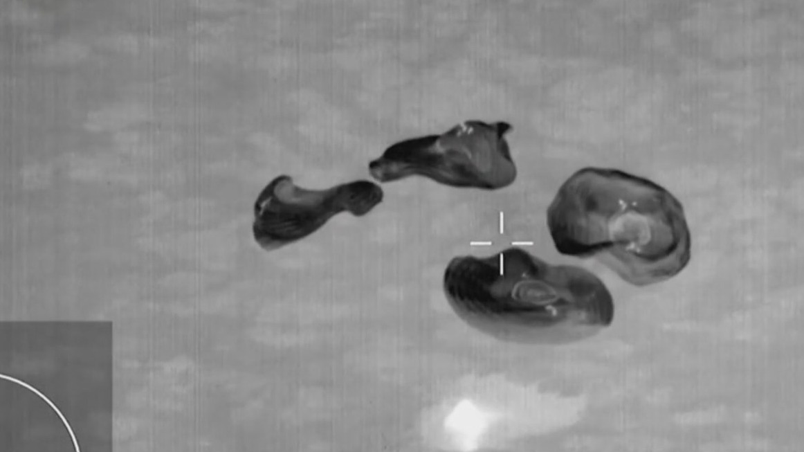 Astronauts on SpaceX Dragon capsule land in Pacific Ocean near San Diego