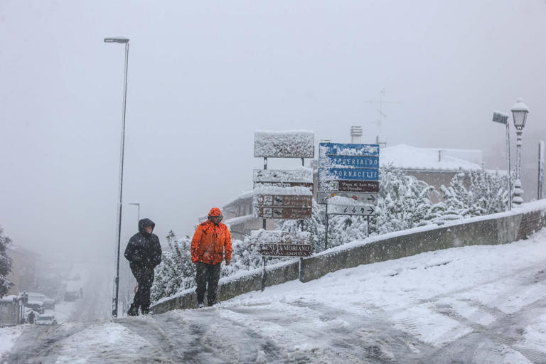 La neve rigenera i campi. “Una risorsa autentica, nemica dei parassiti ...