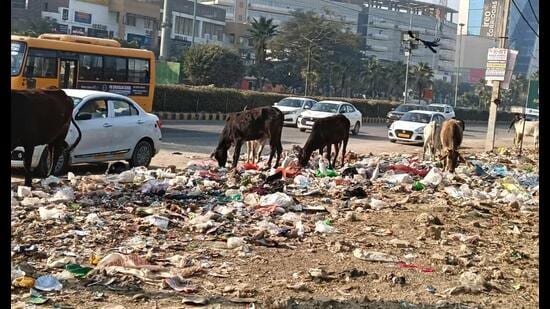 Commuters decry open garbage dumping in Sector 67