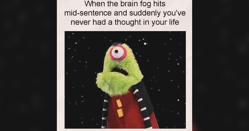 23 Memes for in a Pinch
