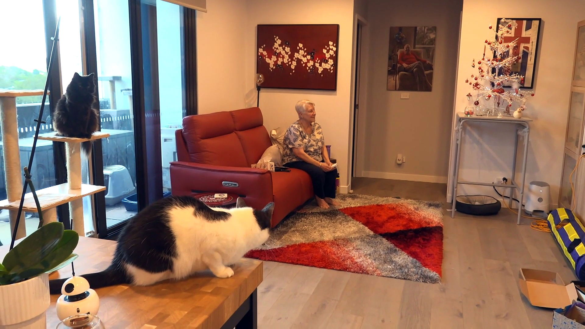 Apartment residents swelter in summer with large glazed windows