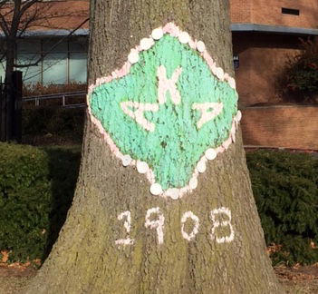 Alpha Kappa Alpha members mark 118th Founders' Day in Ghana