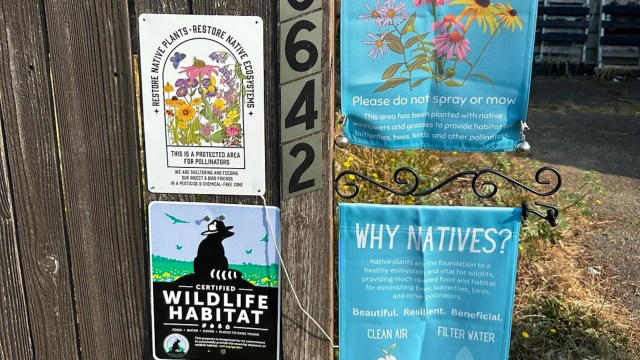 Homeowner comes up with clever yard signs to tell neighbors to mind ...