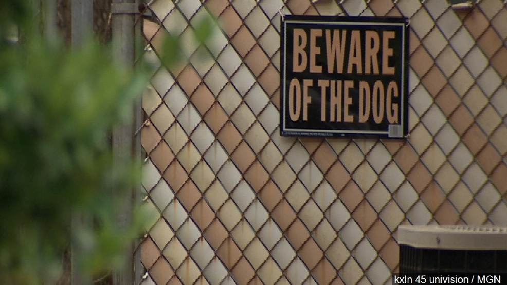 911 audio released following pit bull attack in Reynoldsburg; 4 dogs ...