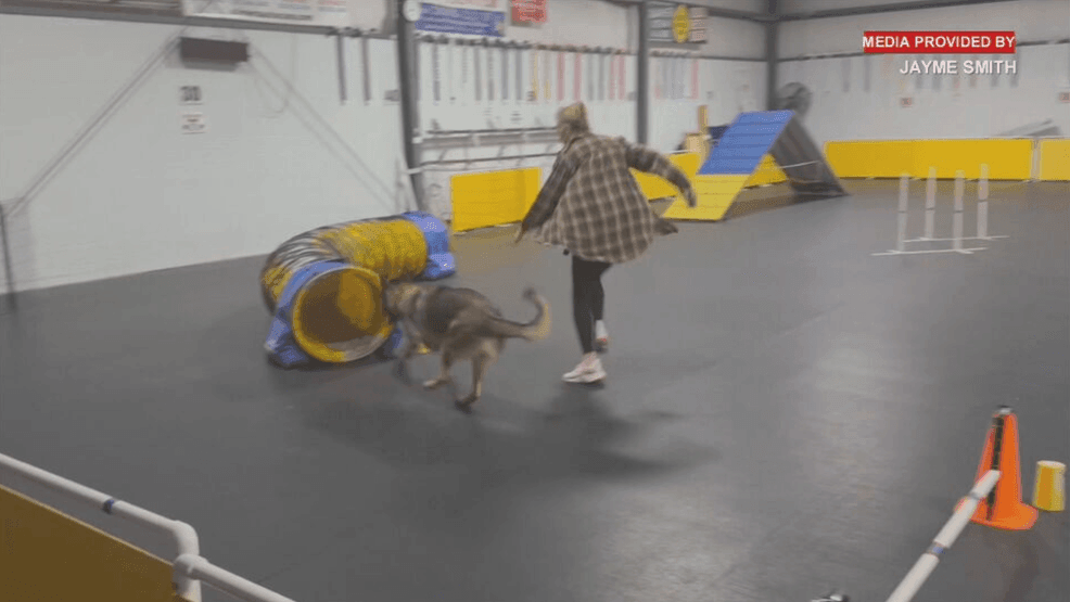 Tri-State high school introduces therapy dog to aid students in crisis