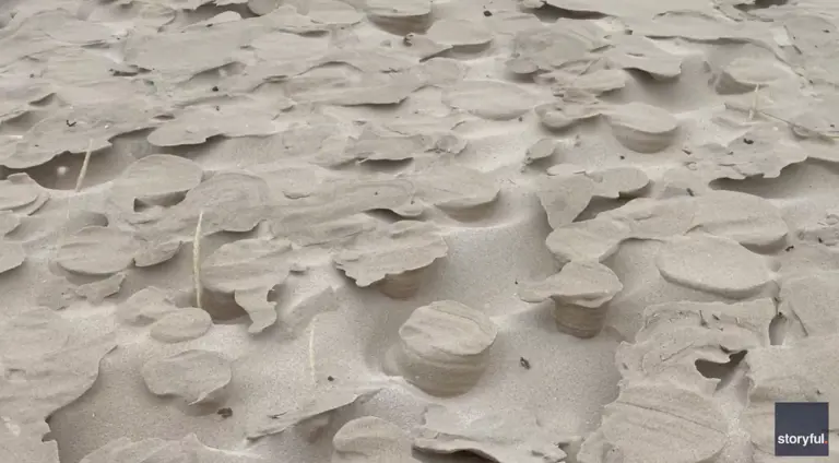 Watch: Sands on Lake Michigan beach freeze into unique mini sculptures