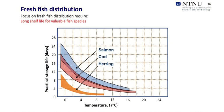 From freezer to fork: New thawing method could deliver 'dock-fresh ...