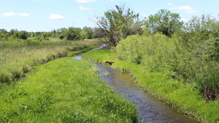This charming suburb near Chicago with lovely trails and peaceful ...