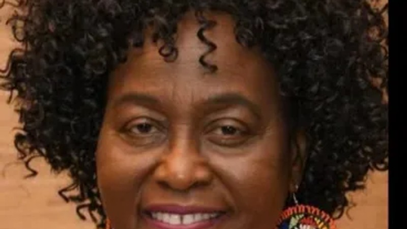 Why the NHI won’t die in court: Lessons from South Africa and abroad