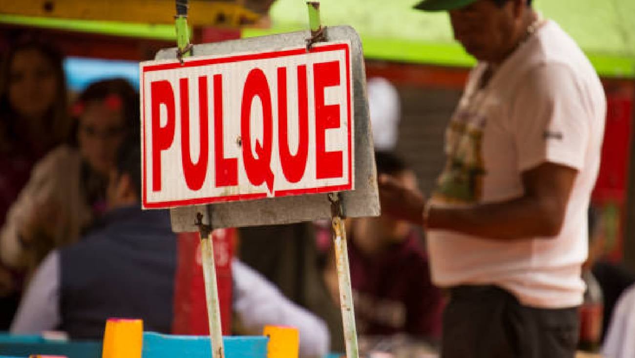 Festival del pulque y mezcal 2026 en CDMX: fechas confirmadas y todo lo ...