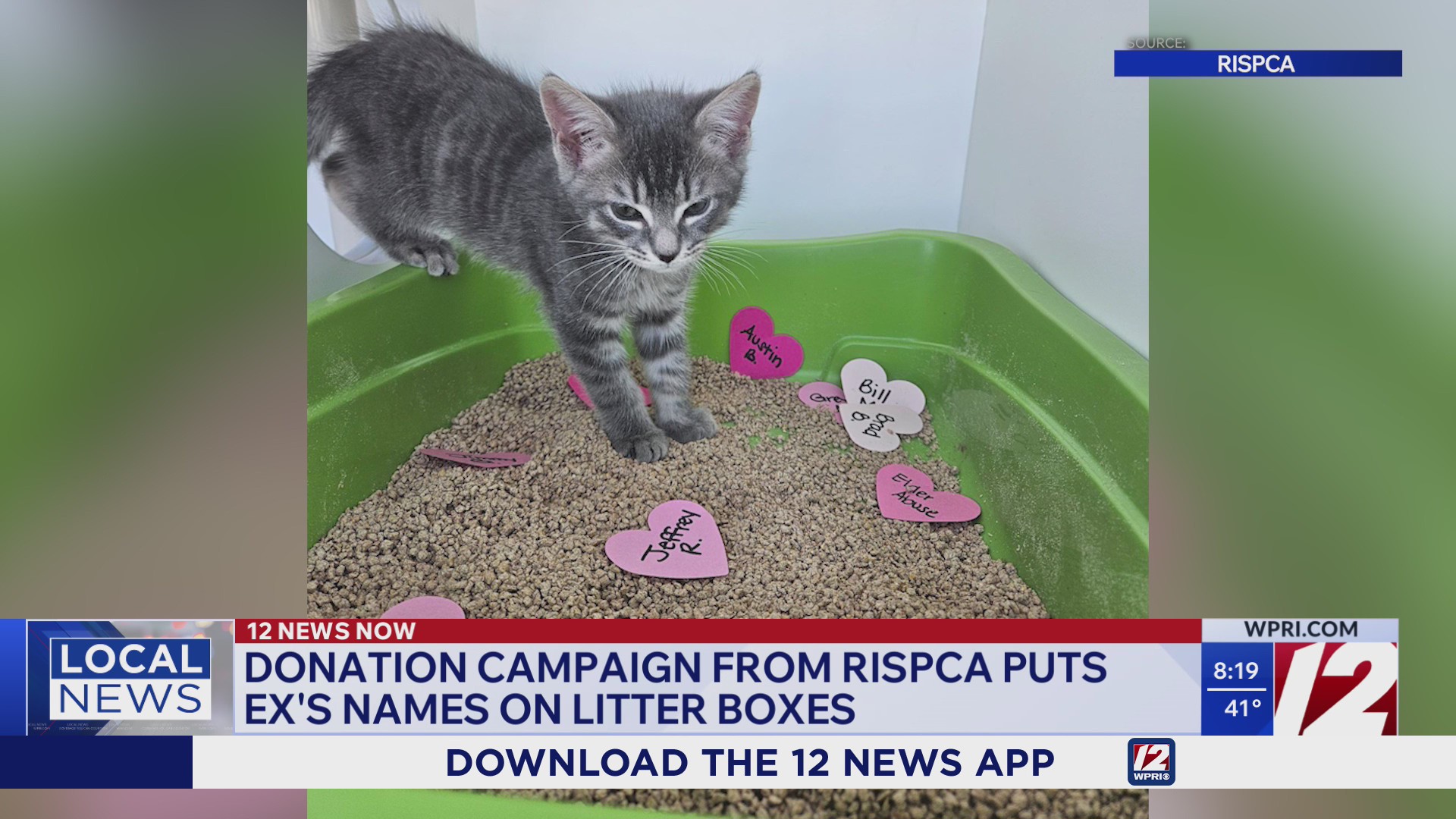 RISPCA’s 'Love stinks!' campaign returns after brief hiatus