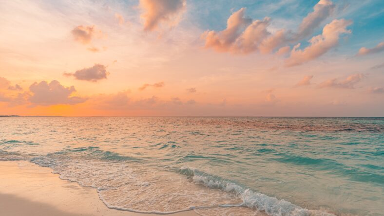 Her insufferable sister-in-law saved her son's life at the beach, even ...