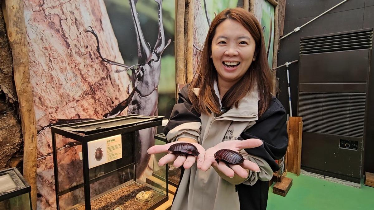 不是愚人節玩笑!宜蘭有農場真的辦「世界蟑螂特展」