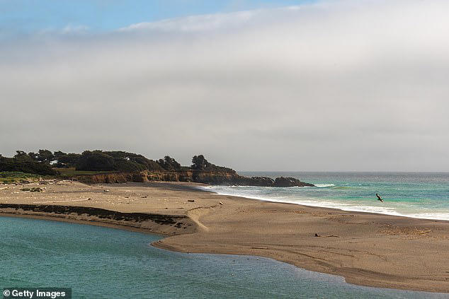 Surfer describes perilous shark bite as his board is snapped in half ...