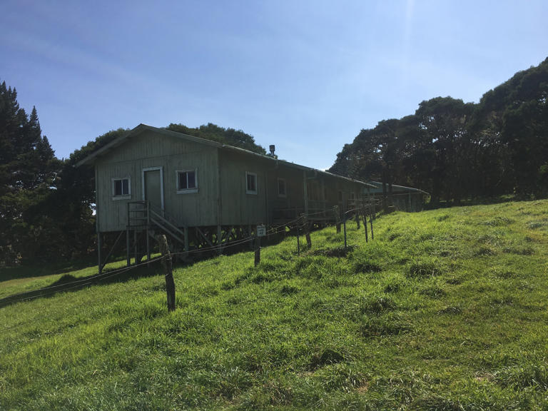 Popular camping spot on the slopes of Mauna Kea reopens