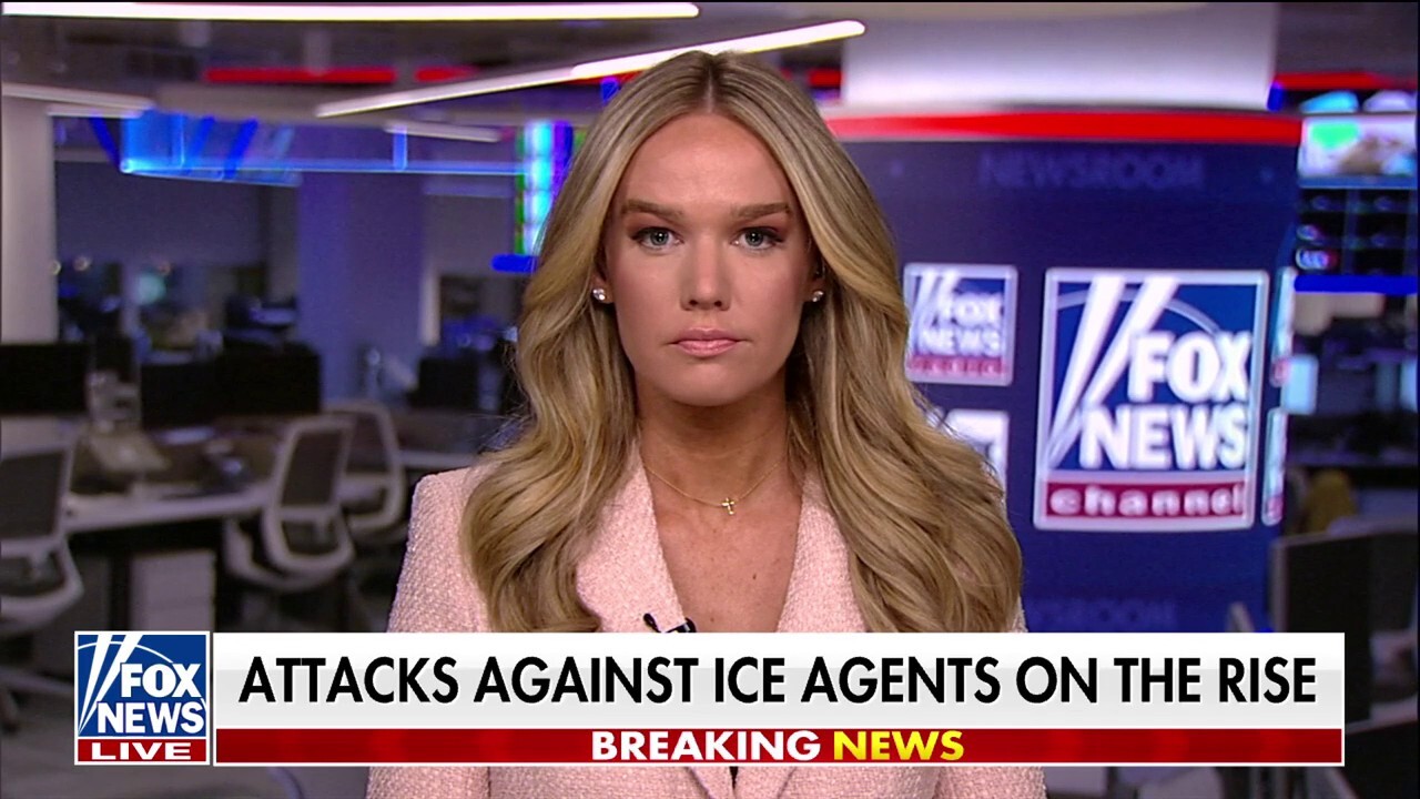 Law enforcement are being spit on and vehicles are being rammed, DHS ...