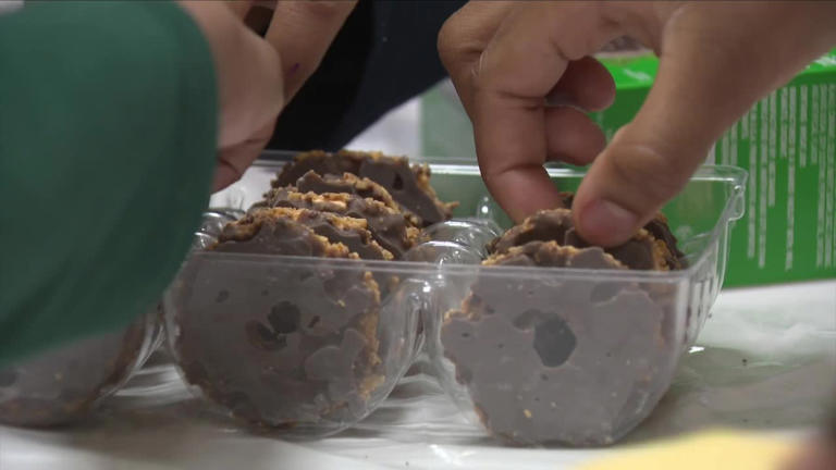 FOX6 Cents: How Girl Scout cookies create a 'wealth' of knowledge