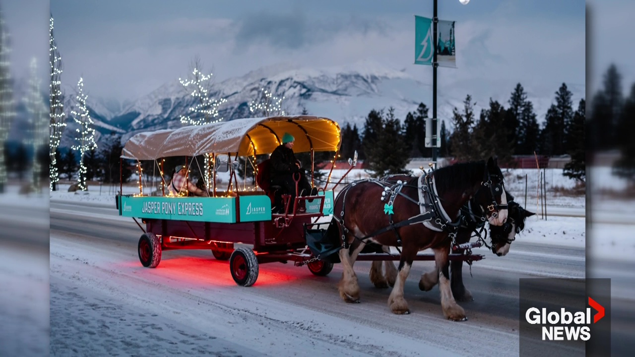 Still time to experience Jasper in January