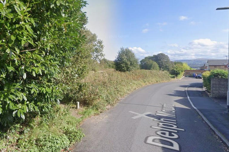 New affordable homes scheme proposed for 'under used' green land in ...