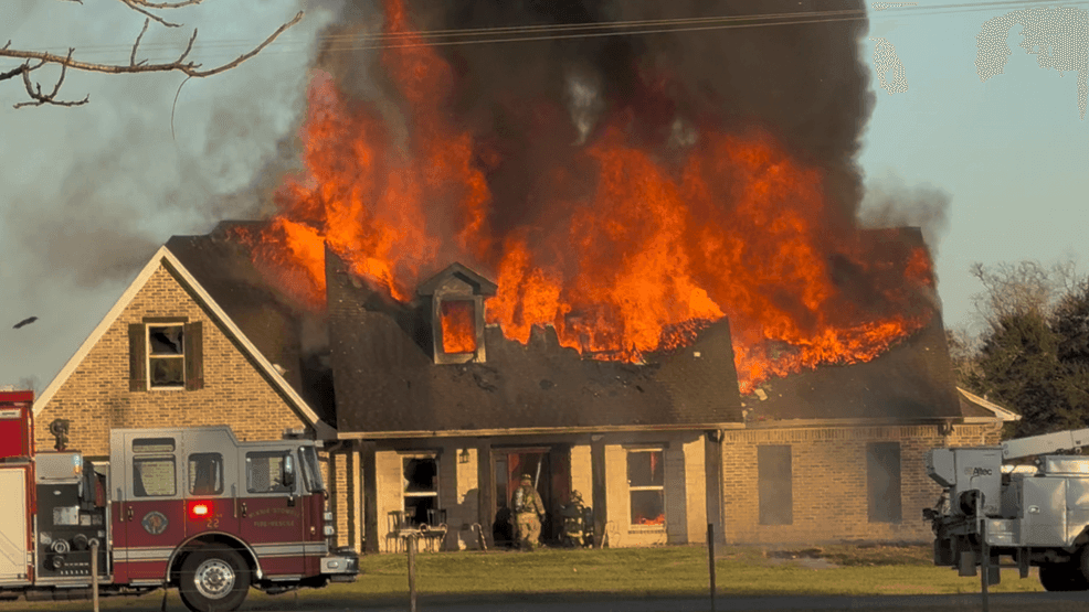 Towering inferno: Homeowner saves dog and escapes before flames rip ...