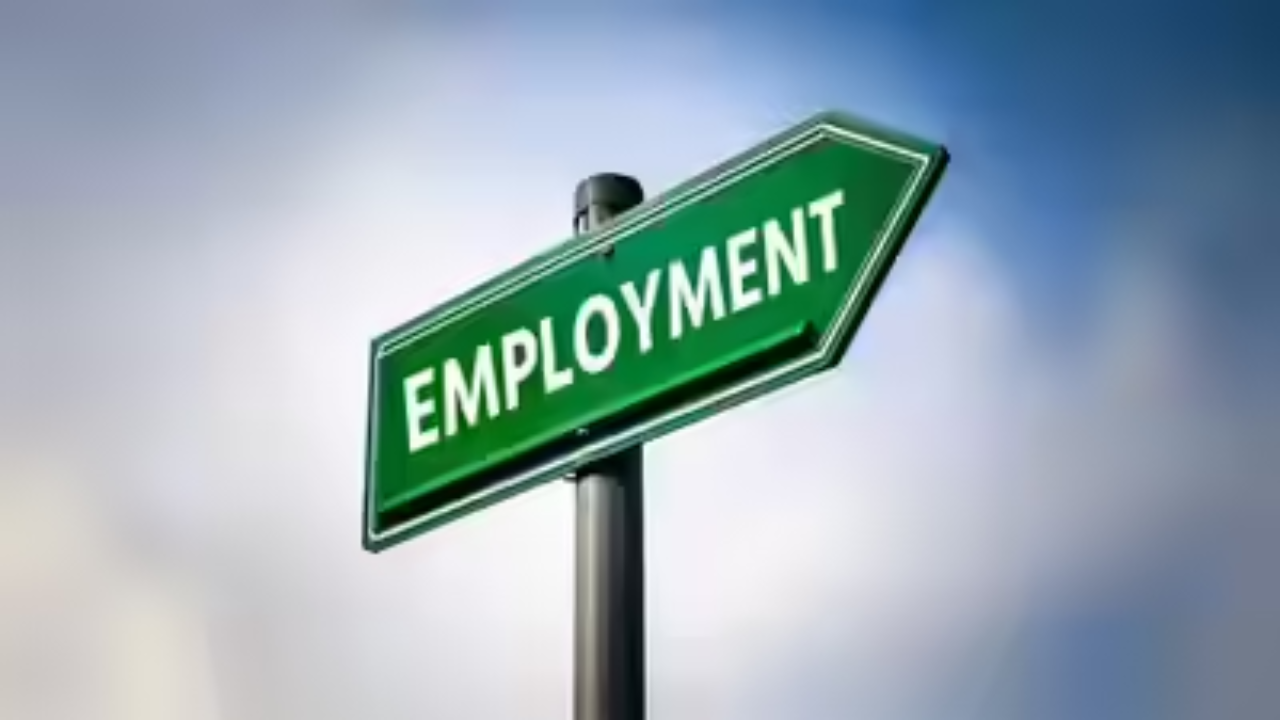 Unemployment rate rises marginally to 4.8% in Dec on back of urban ...